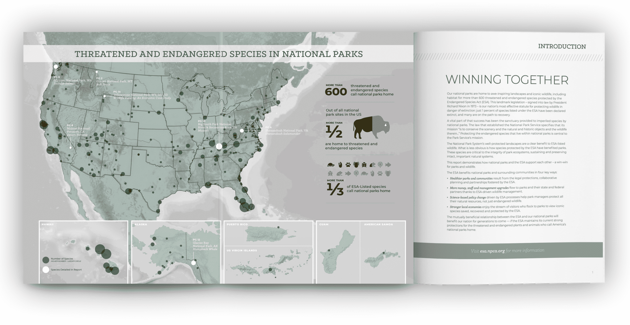 National Parks Conservation Association (NPCA) Report Branding - GRAPHEK