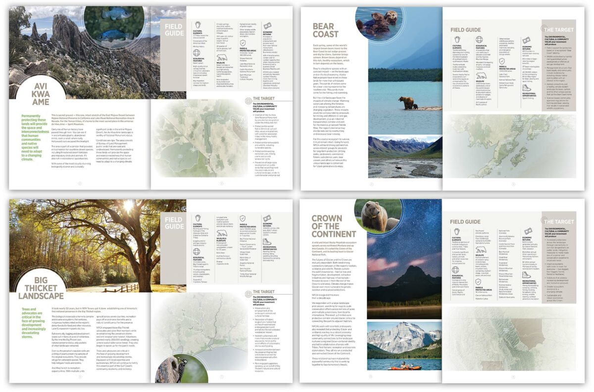 National Parks Conservation Association (NPCA) Report Branding - GRAPHEK