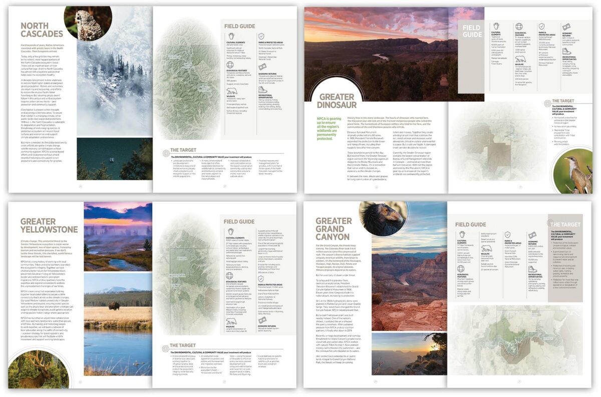 National Parks Conservation Association (NPCA) Report Branding - GRAPHEK