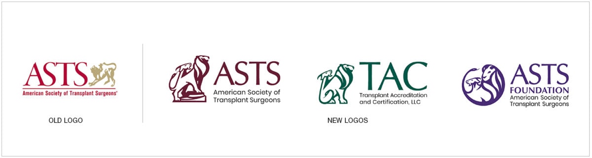 GRAPHEK Insights Workshops: Where Process and Imagination Meet