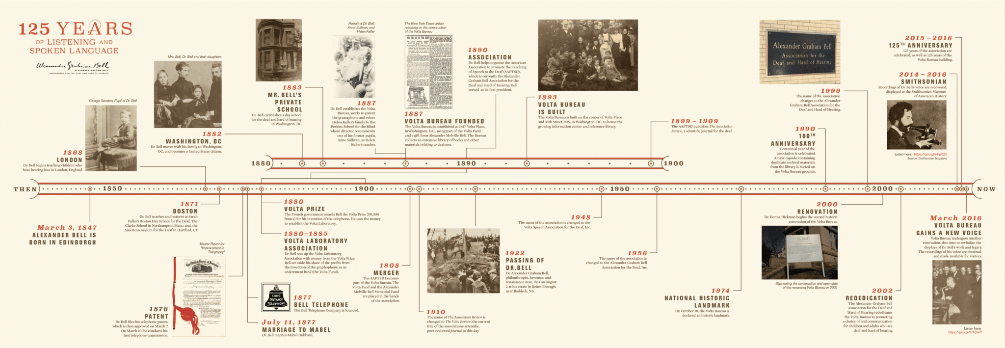 Understanding Your Infographic Options