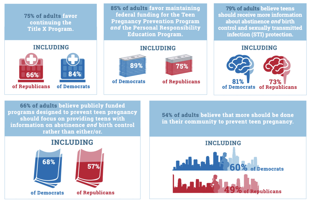 Understanding Your Infographic Options