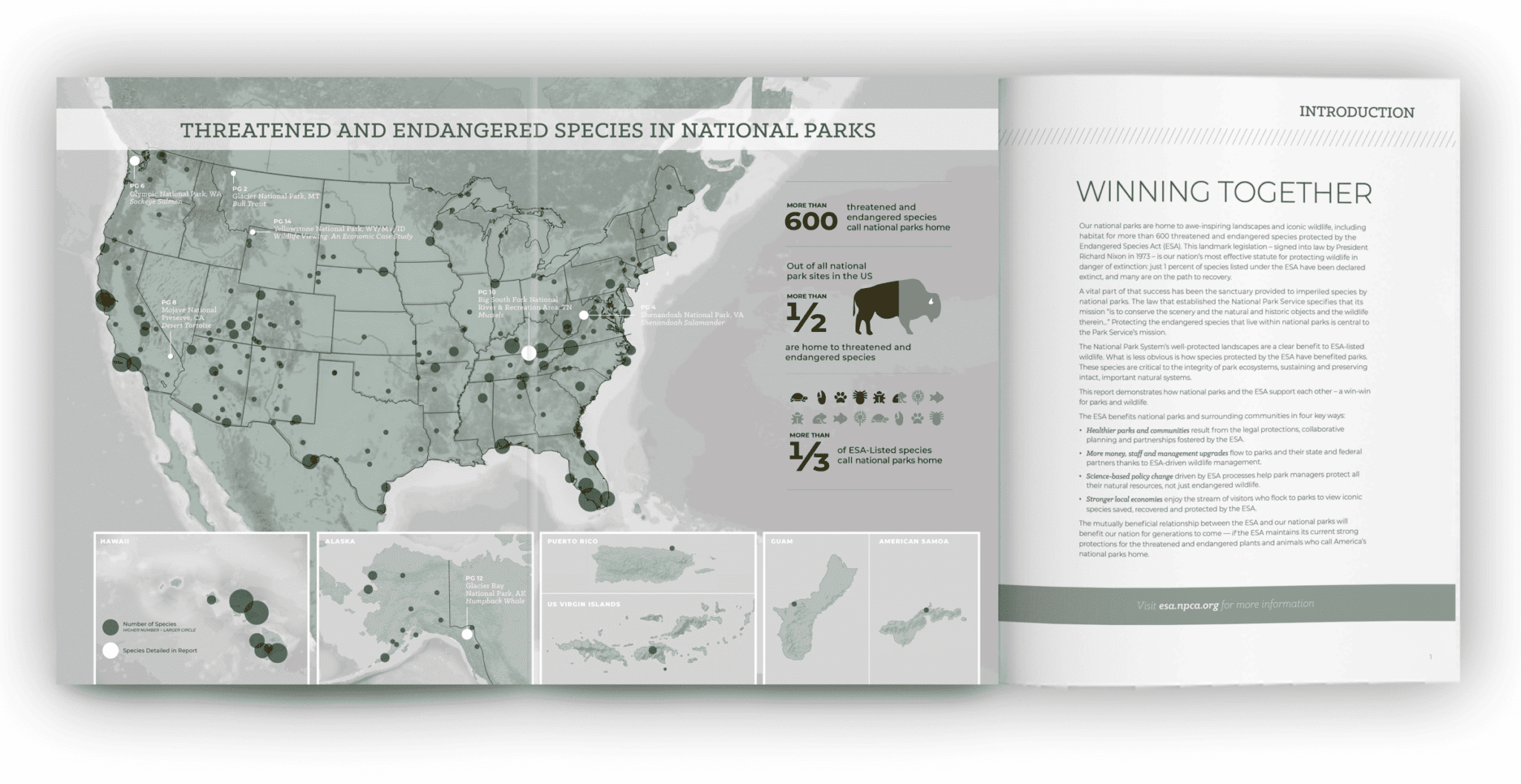 Telling a Story – and Inspiring Action – through Infographics